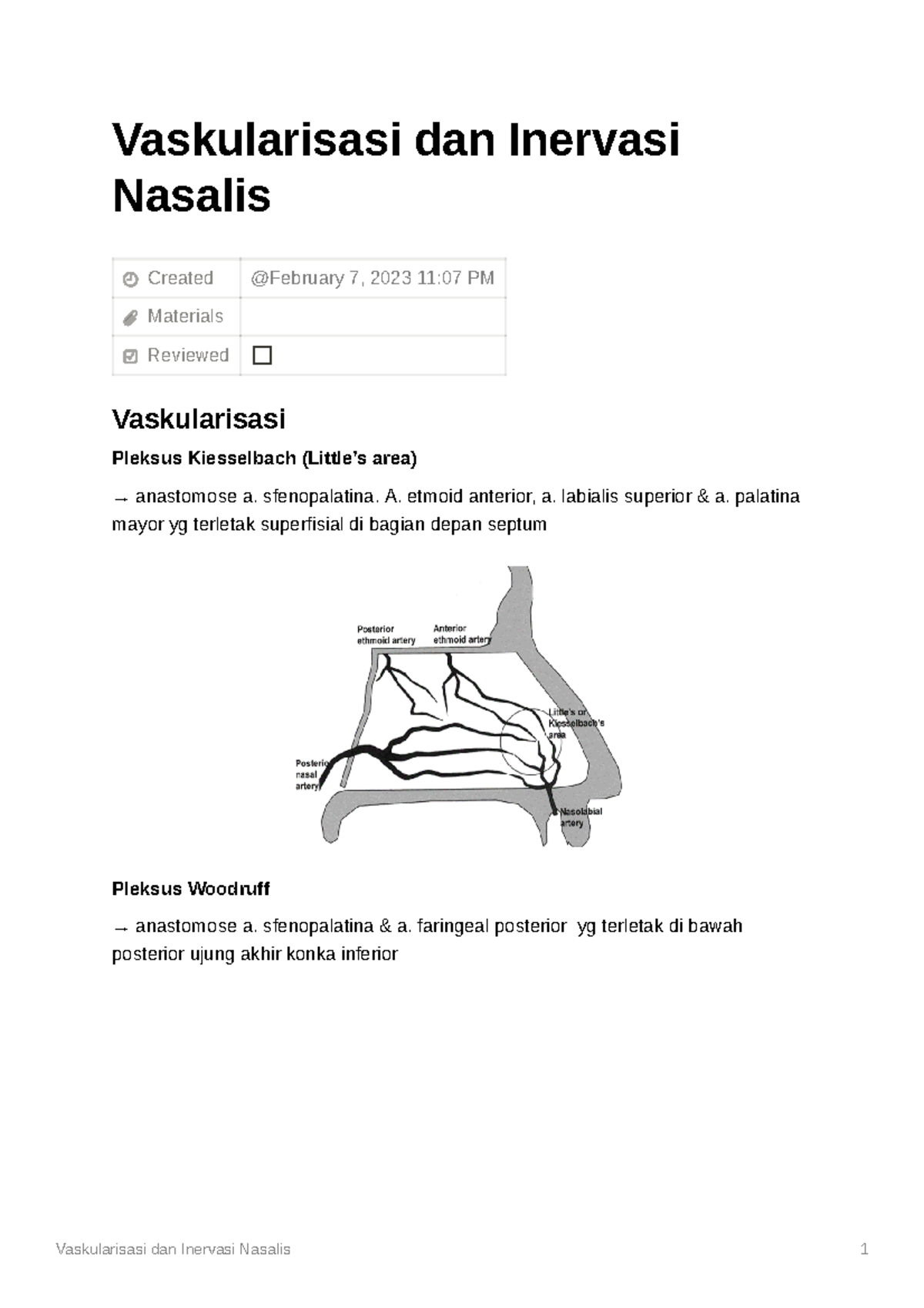 Vaskularisasi dan Inervasi Nasalis - sfenopalatina. A. etmoid anterior ...