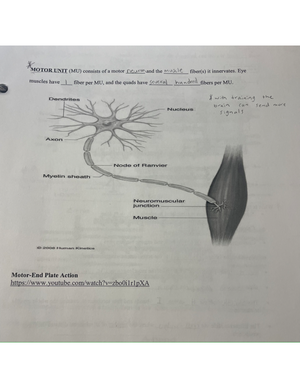 Chapter One Lecture Notes Exs 410 Studocu
