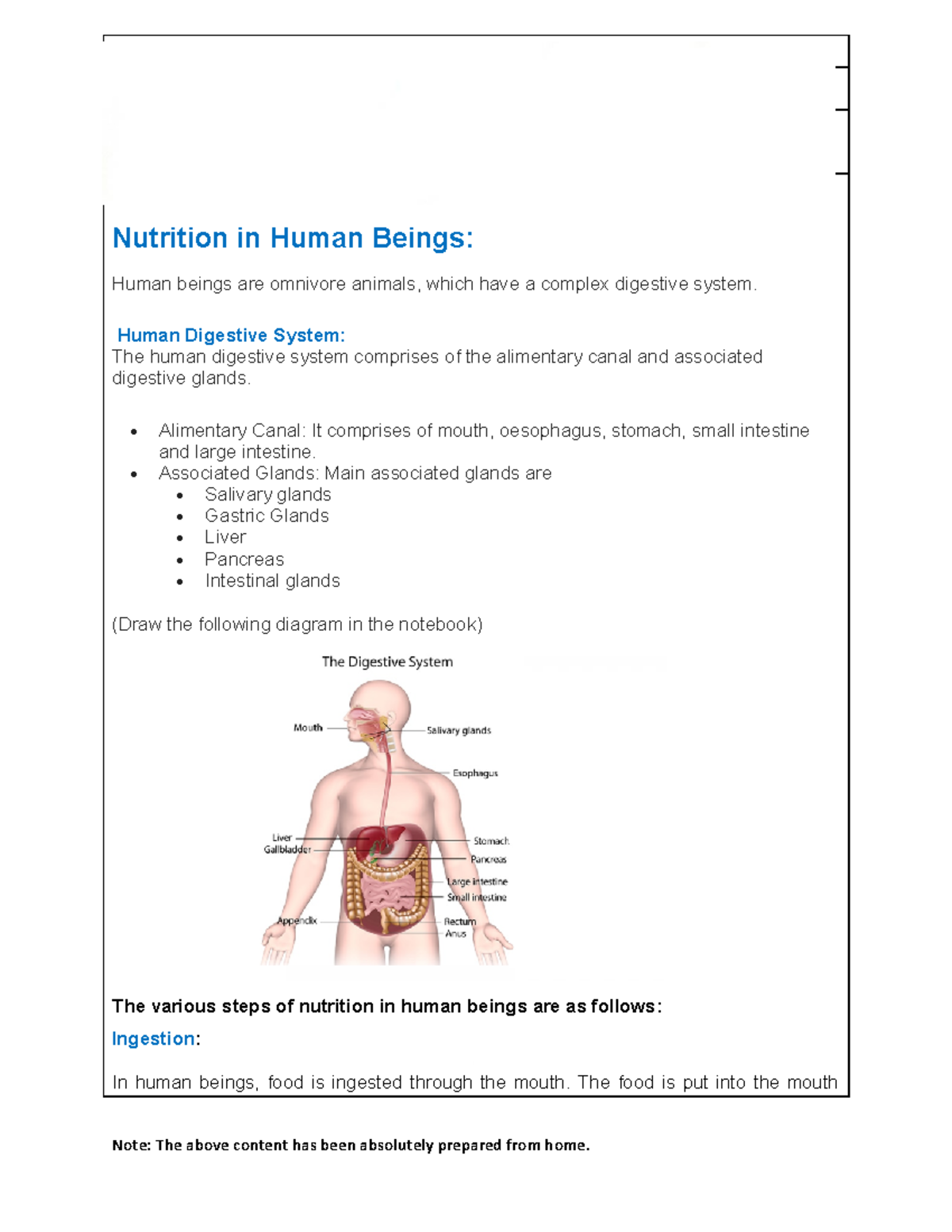 Biology human digestive system - Note: The above content has been ...