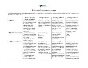 CJ 340 Module Three Practice Activity Template - CJ 340 Module Three ...