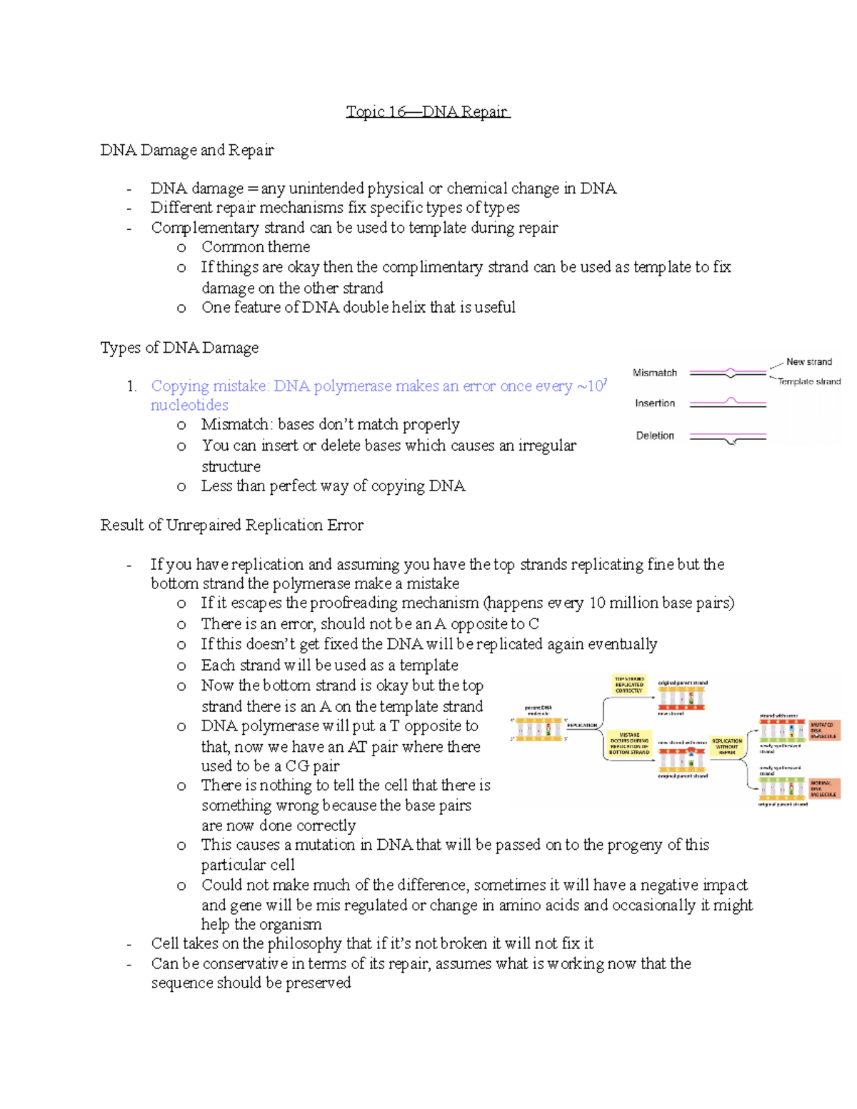 Lecture 16 - DNA Repair - Topic 16—DNA Repair DNA Damage and Repair DNA ...