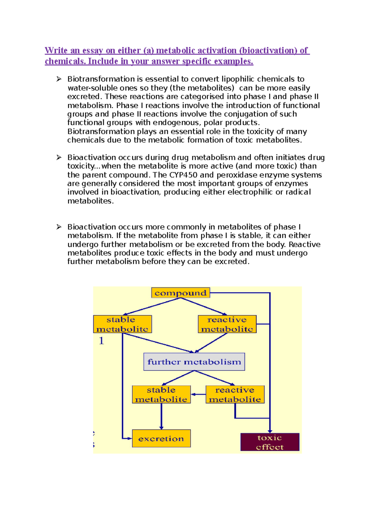 Bioactivation - Toxicology - Write an essay on either (a) metabolic ...