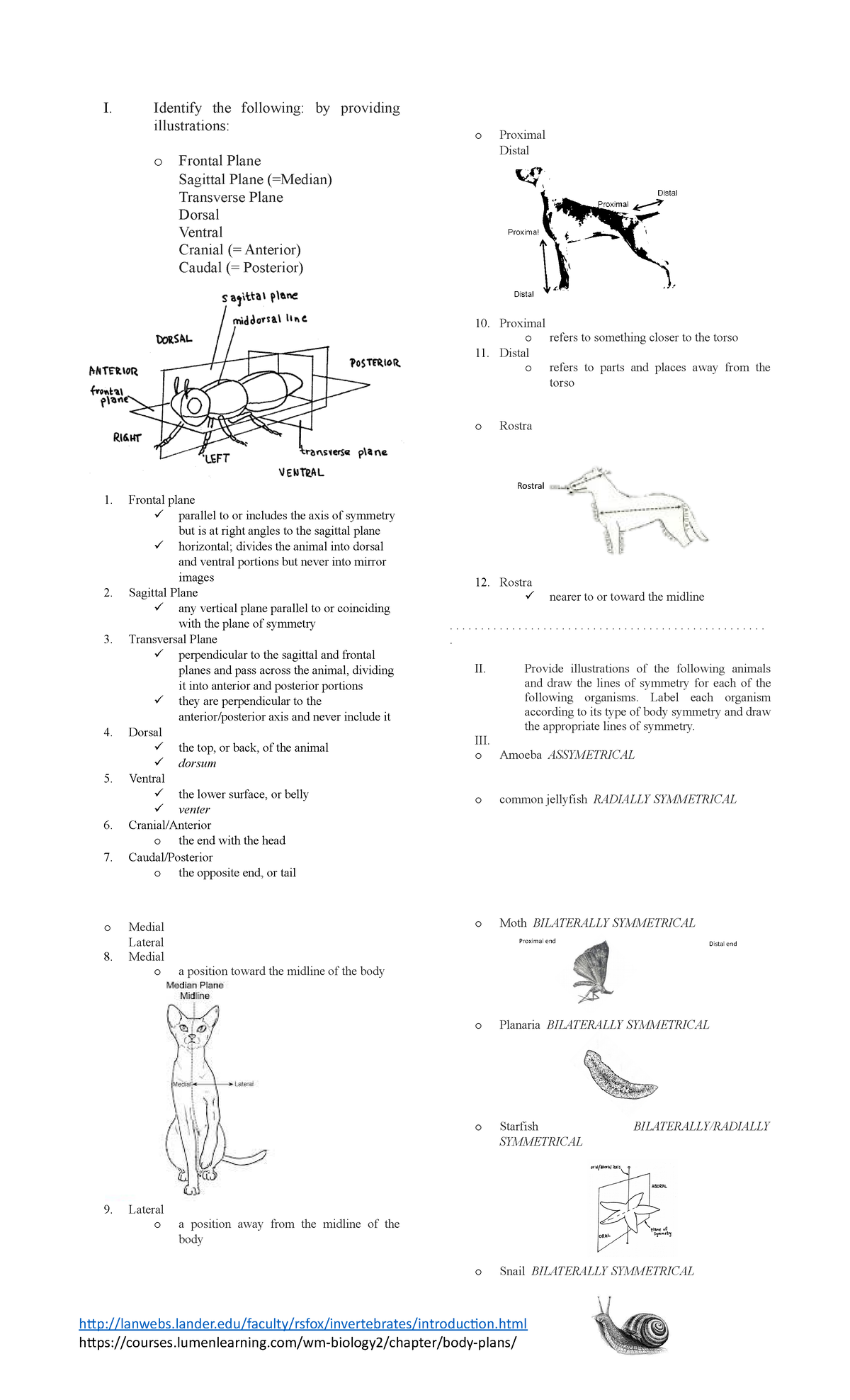 Body Symmetry - I. Identify the following: by providing illustrations ...