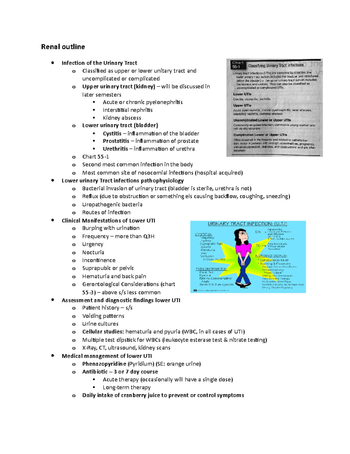 Renal and gallbladder outline - Renal outline Infection of the Urinary ...