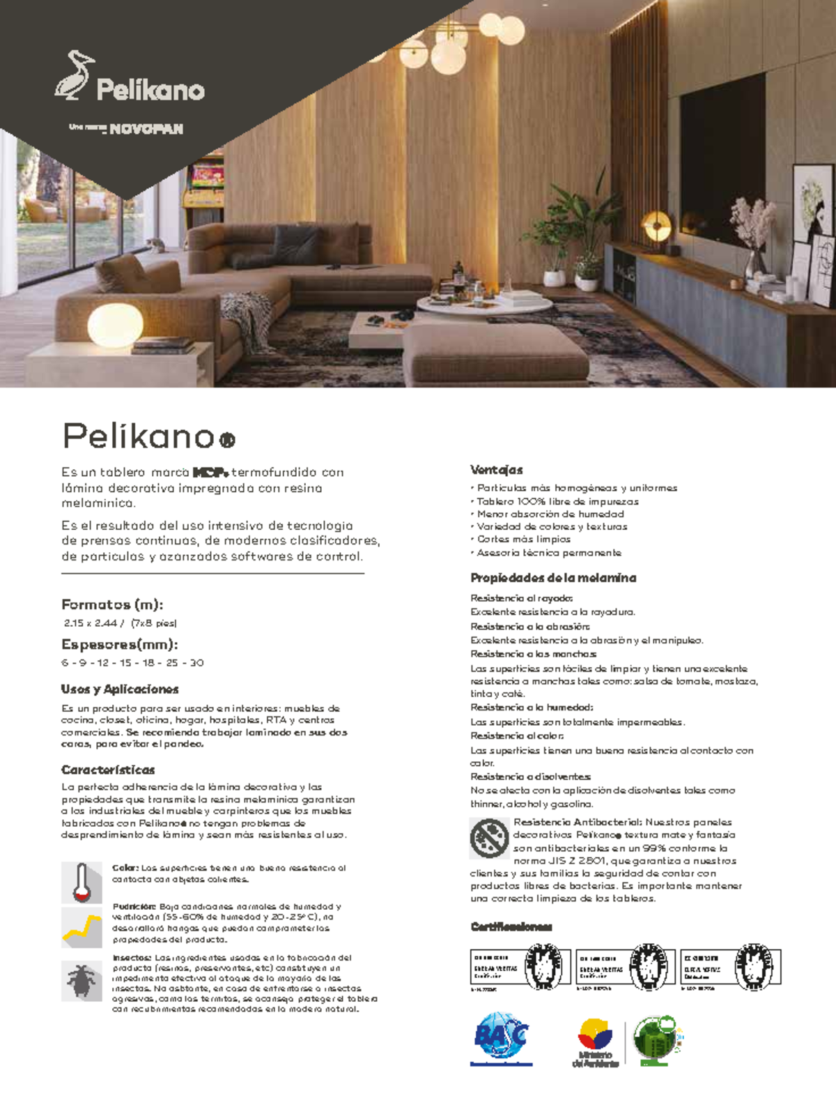 12 pelikano pelikano rh cambió a gris, mejoras en diseño interiores ...