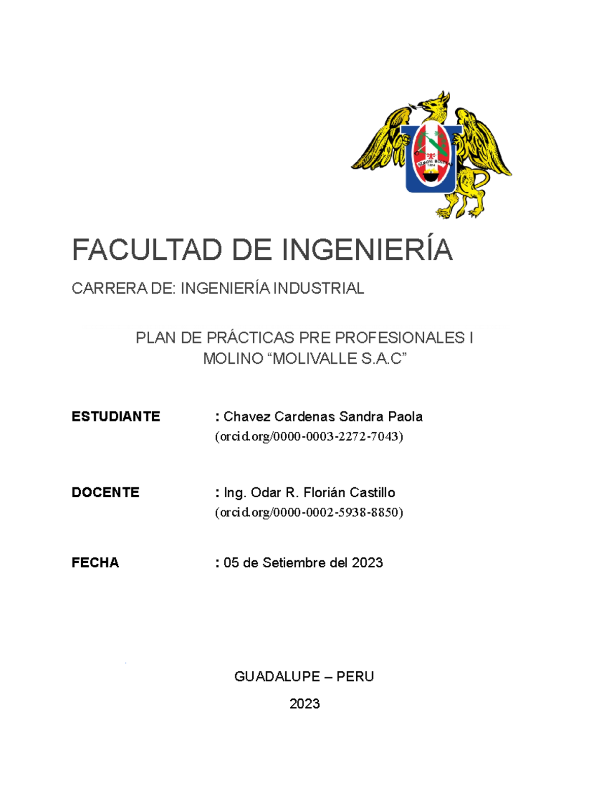 PLAN DE Practicas PRE Profesionales - Chavez Cardenas Sandra - FACULTAD ...