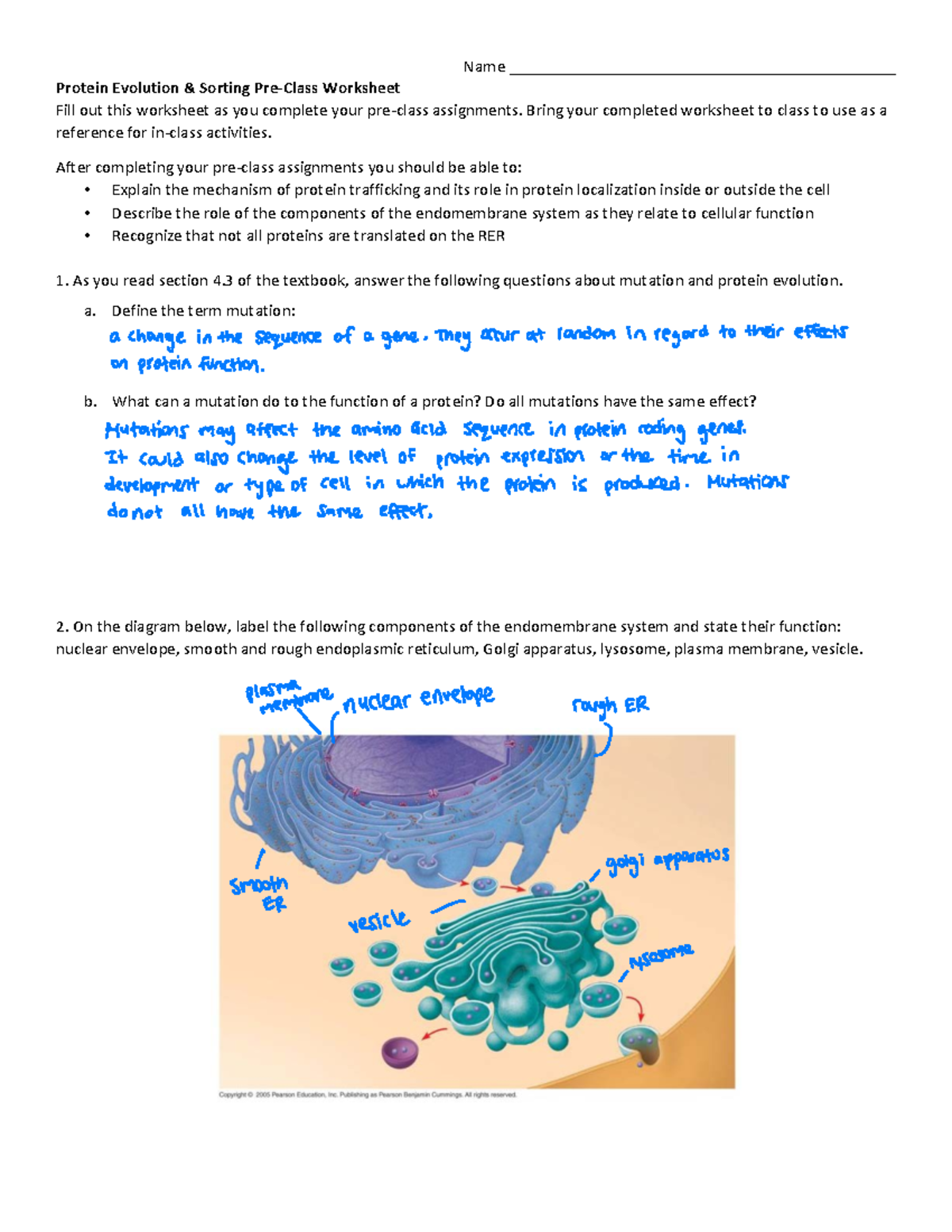 Week+6b+Translation+2+Reading+Guide - Name ...