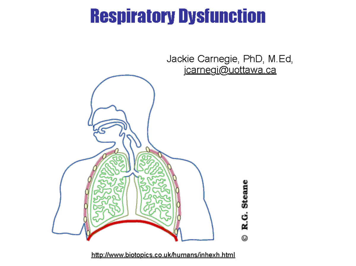 PHS3300 Respiratory Disorders 2023 Part 1 - Respiratory Dysfunction ...
