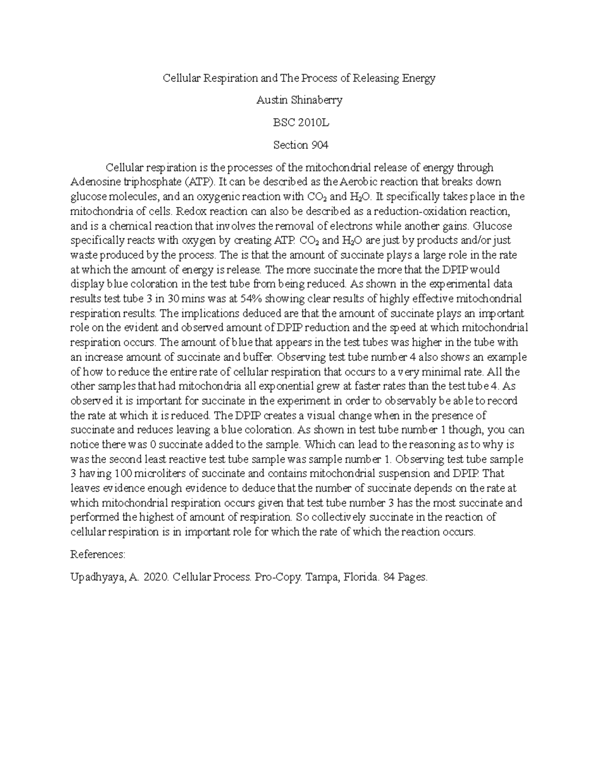 Cellular Respiration Abstract - Cellular Respiration and The Process of ...