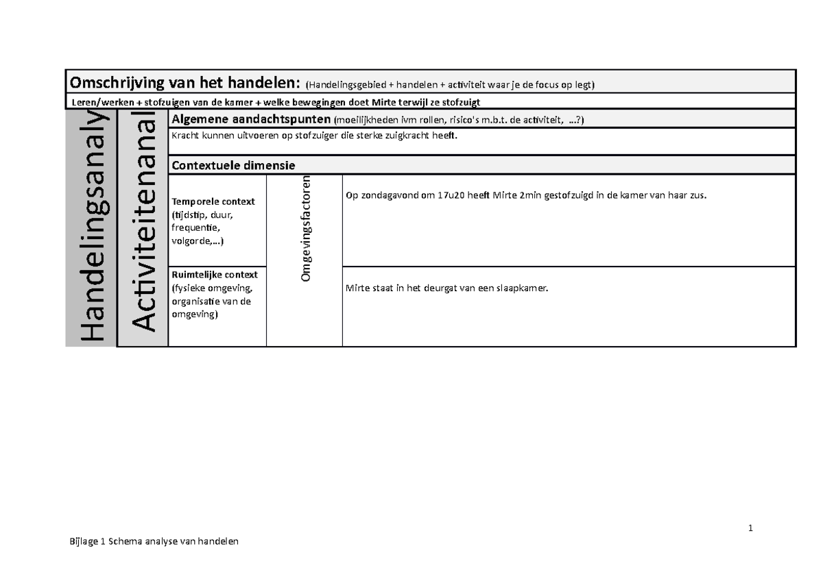 Schema analyse van handelen - Omschrijving van het handelen ...