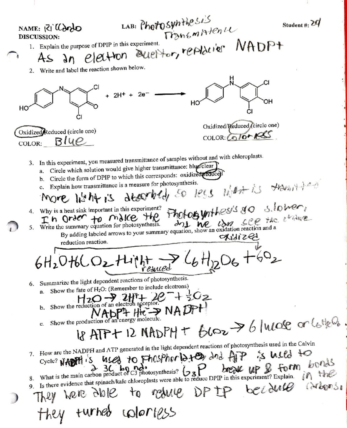Adobe Scan Mar 06, 2023 - Assignment for proteins - NAME: R Cdrdo LAB ...