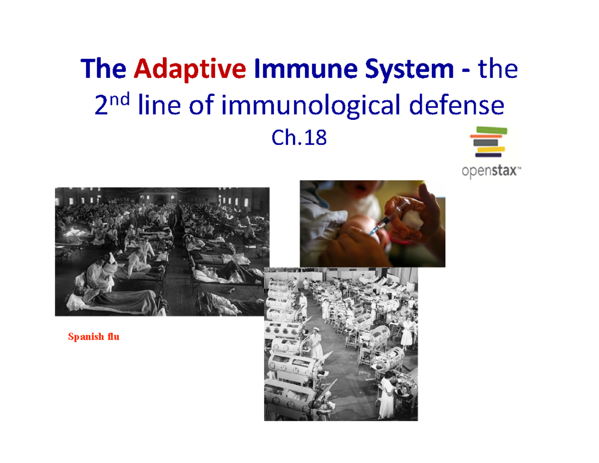 Adaptive immunity LM 2019 1p - Warning: TT: undefined function: 32 Warning: Unimplemented ...