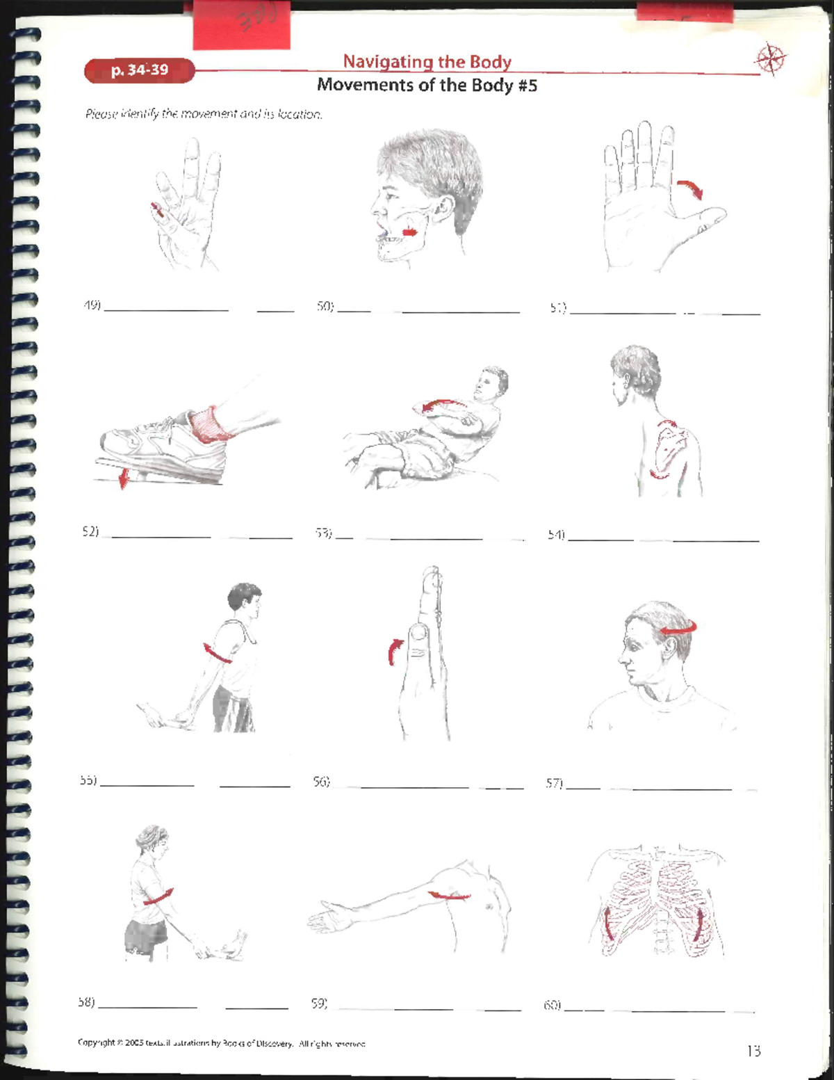 Movement quiz day 1 - Review for first introduction worksheet ...