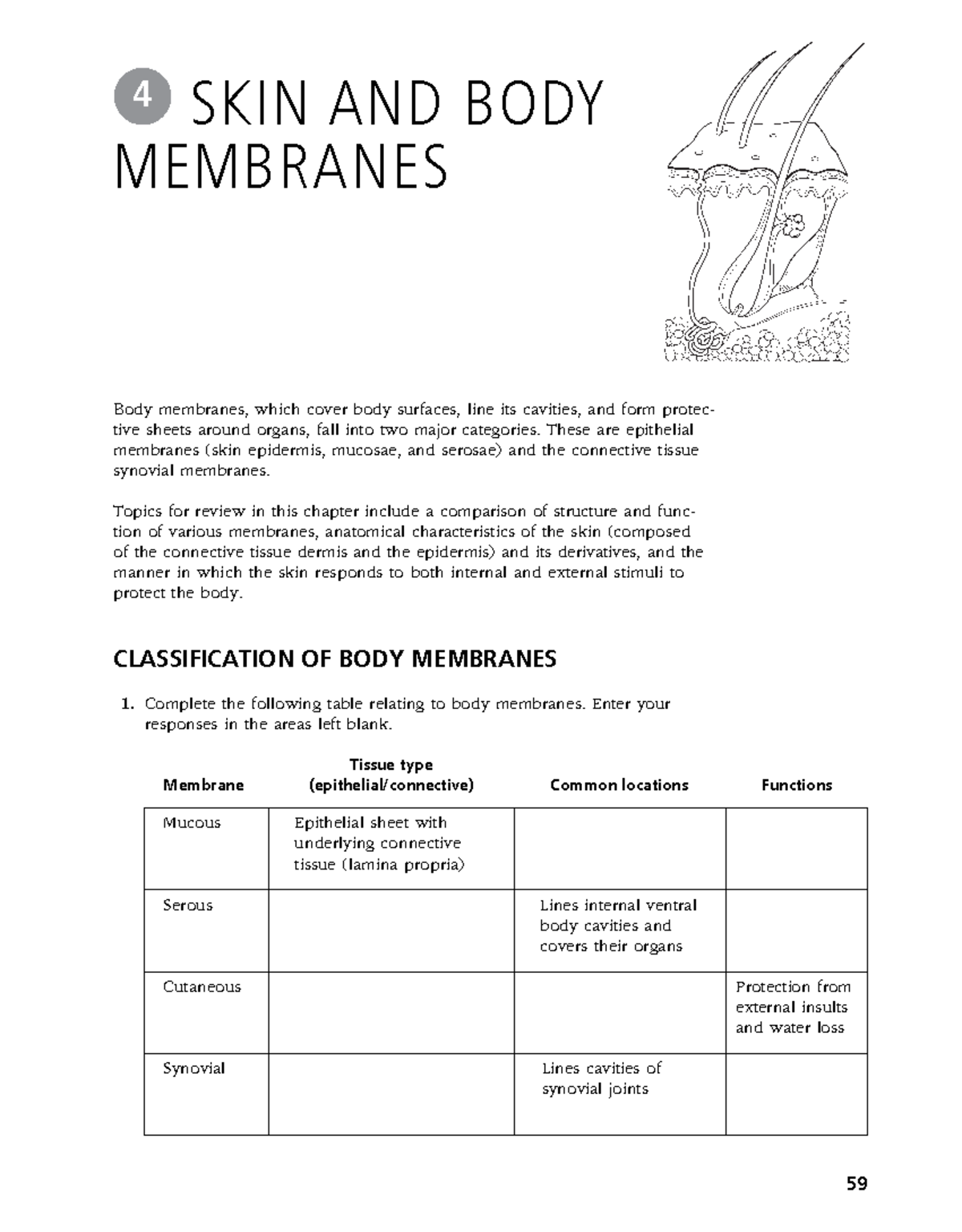 Integumentary System Worksheet Ana Physio Lab - Body membranes, which ...