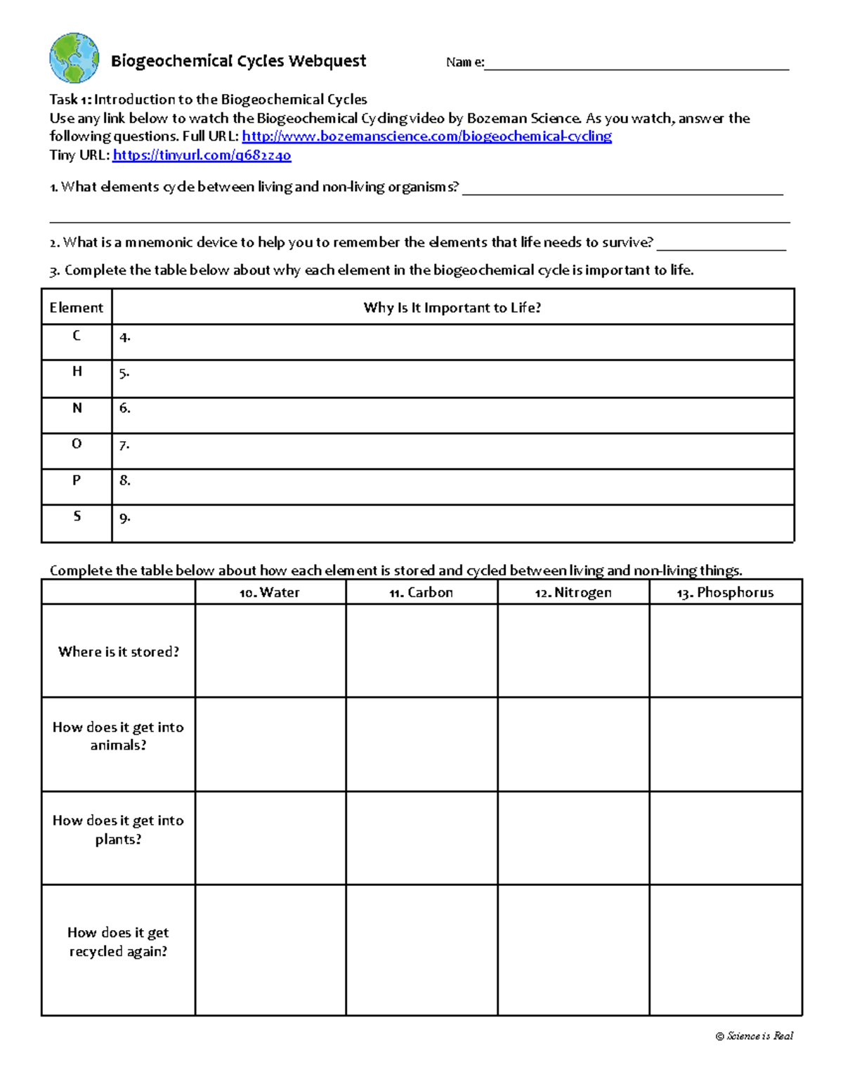 Ricardo Castro - [Template] Biogeochemical Cycles Webquest ...