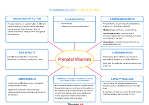Concept Map 366 - NIGHTINGALE COLLEGE DIRECT-FOCUSED CARE: CONCEPT ...