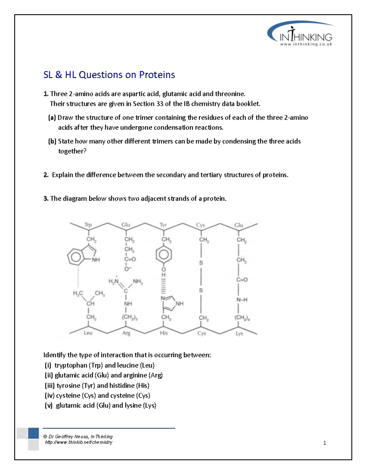 3. Questions - Protiens and Enzymes - 1 © Dr Geoffrey Neuss, InThinking ...
