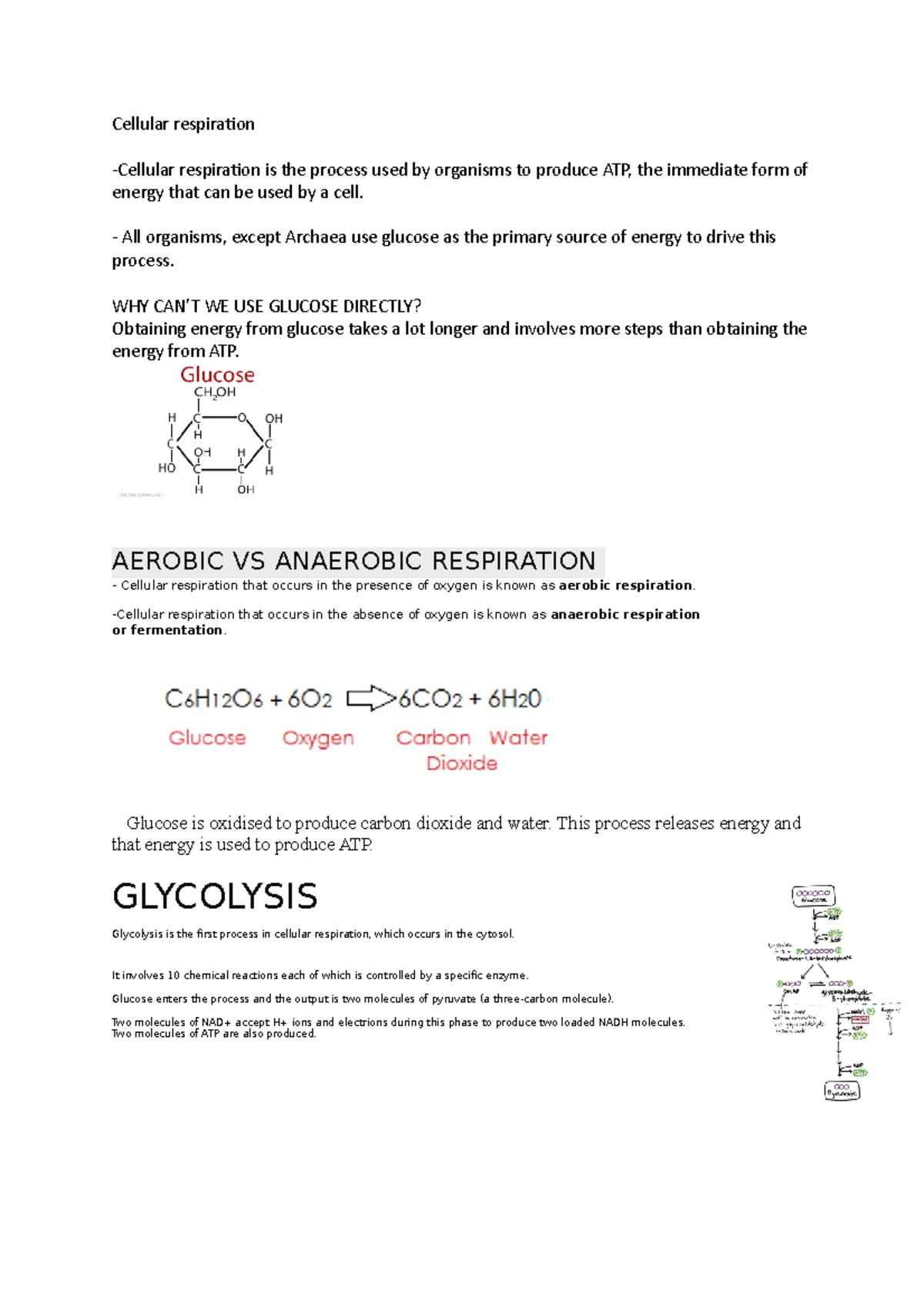 Cellular respiration - Cellular respiration -Cellular respiration is ...