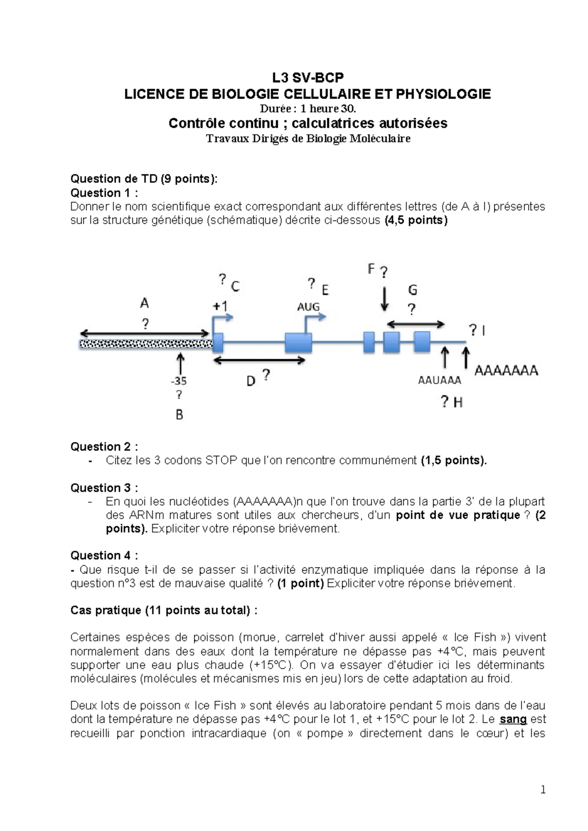 2019 -L3 BCP Sujet Colle Contrôle Continu - L3 SV-BCP LICENCE DE BIOLOGIE CELLULAIRE ET ...