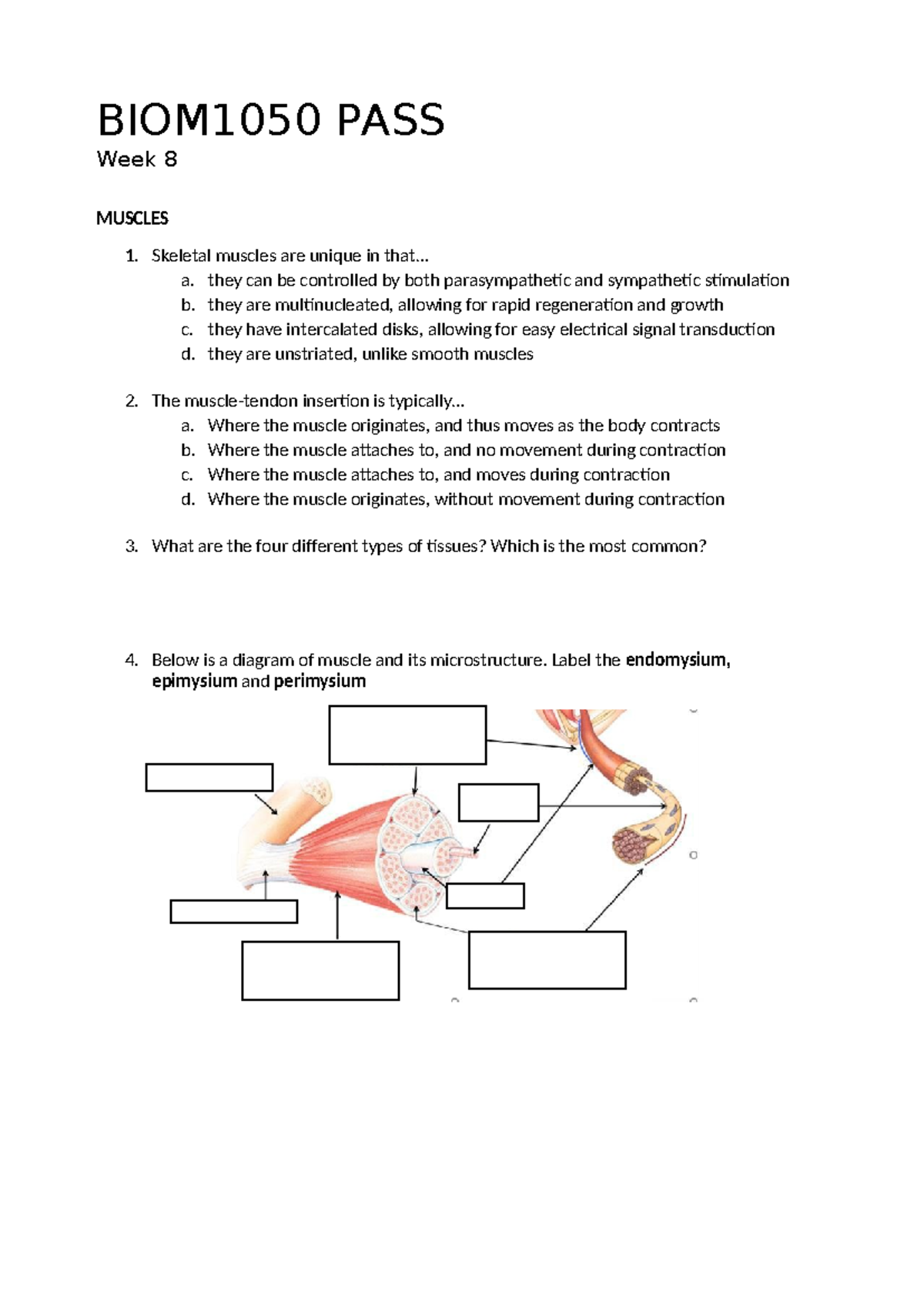 BIOM1050 PASS Week 8 Questions - BIOM1050 PASS Week 8 MUSCLES Skeletal ...