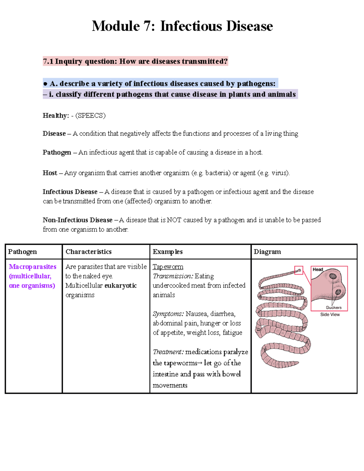 Bio Notes - Module 7 - Infectious disease - Abigail Gunn - Module 7 ...