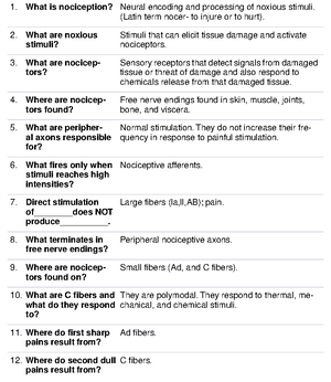 Catch up (LMNs) - Book info of LMN Dr. Kim - Lower Motor Neurons LMN ...