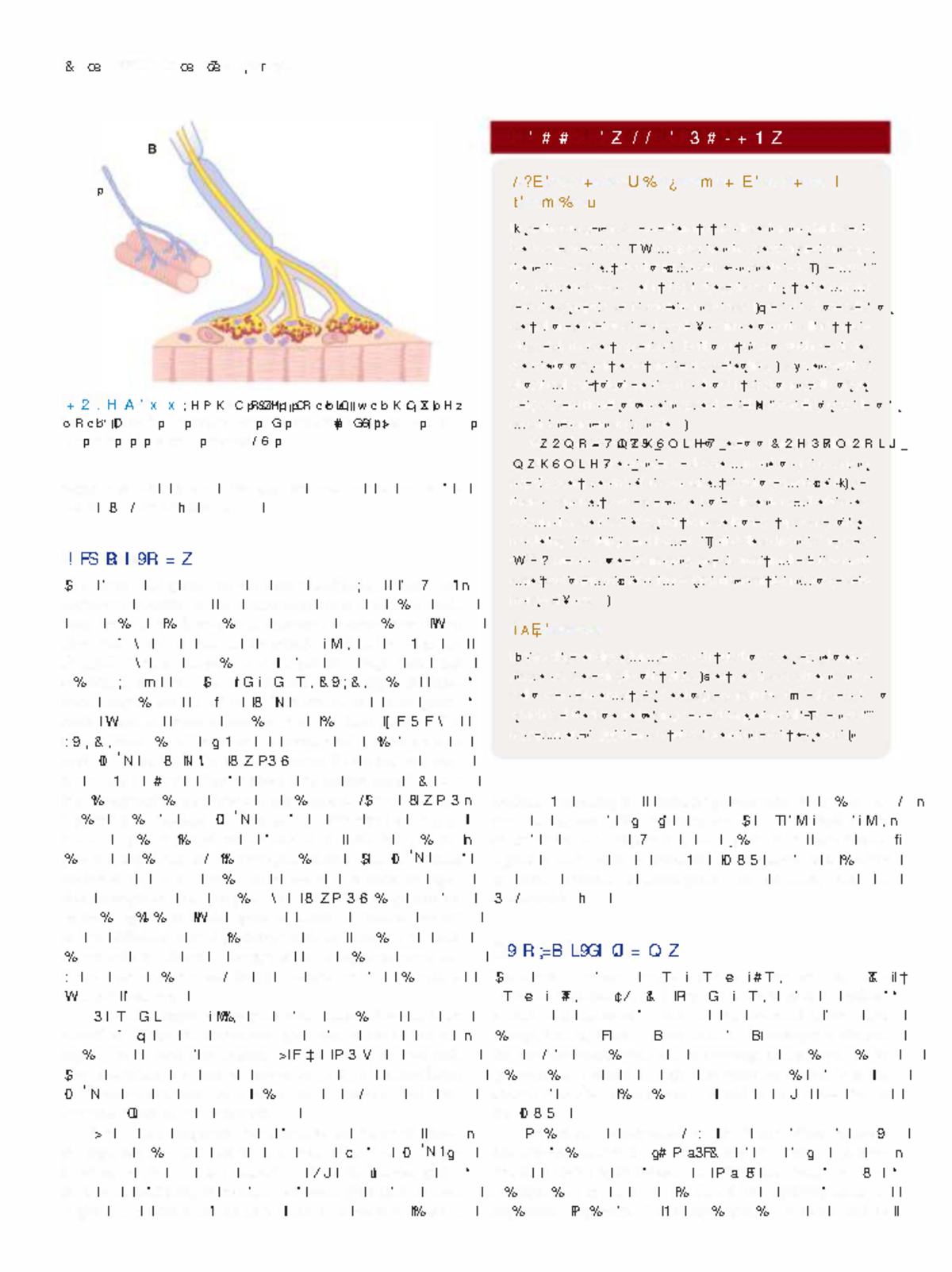 Clinical Neuroanatomy-15 - 30 SECTION I Basic Principles A FIGURE 3-1 2 ...