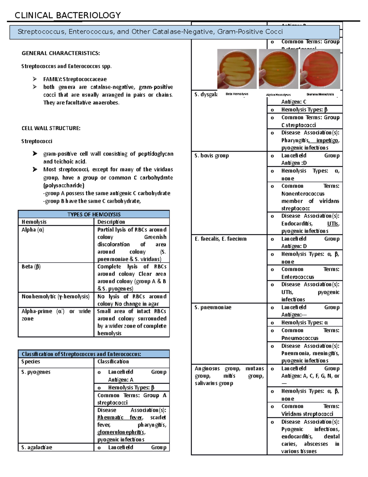 Streptococcus, Enterococcus, and Other Catalase-Negative, Gram-Positive ...