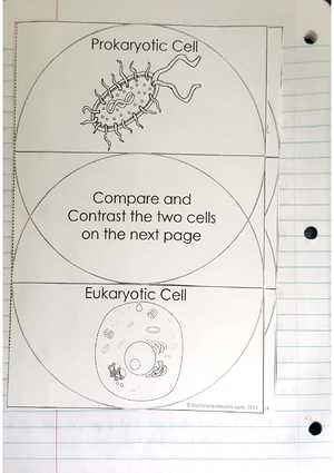 cell structures notes - BIO 265 - Studocu