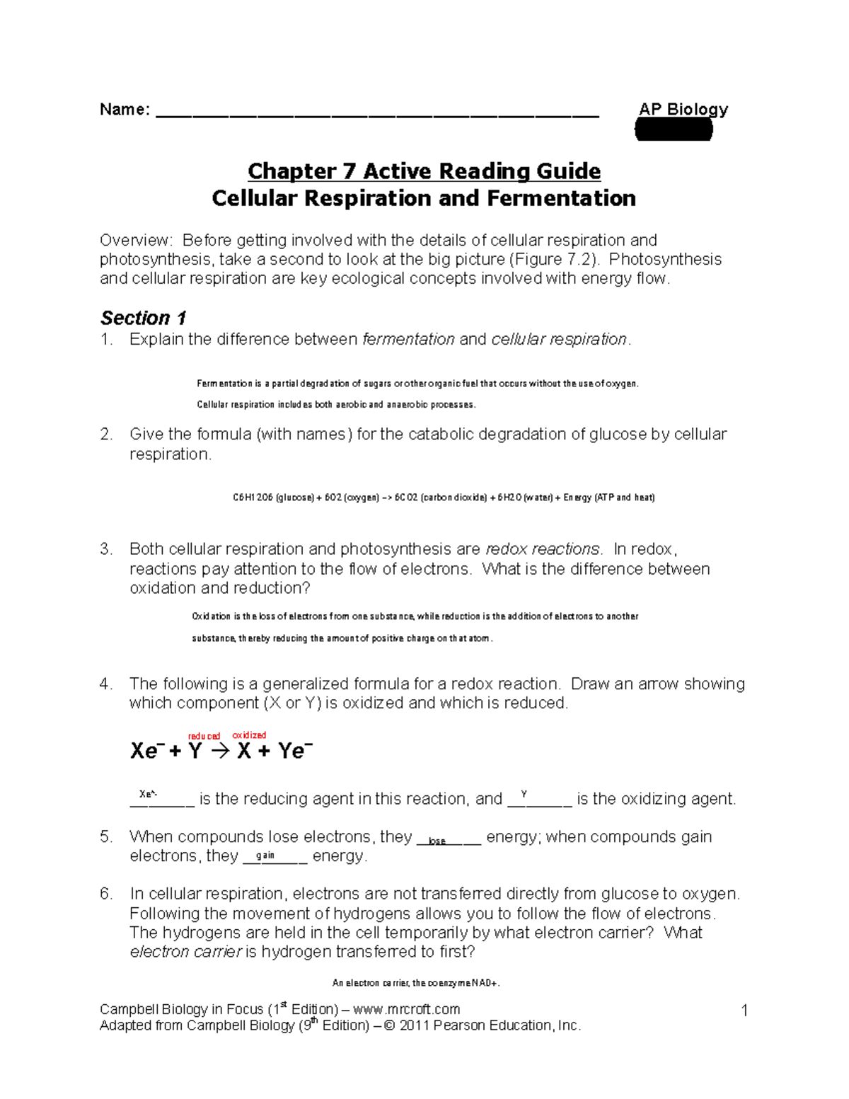 Chapter 7 Active Reading Guide - Campbell Biology in Focus (1 st ...