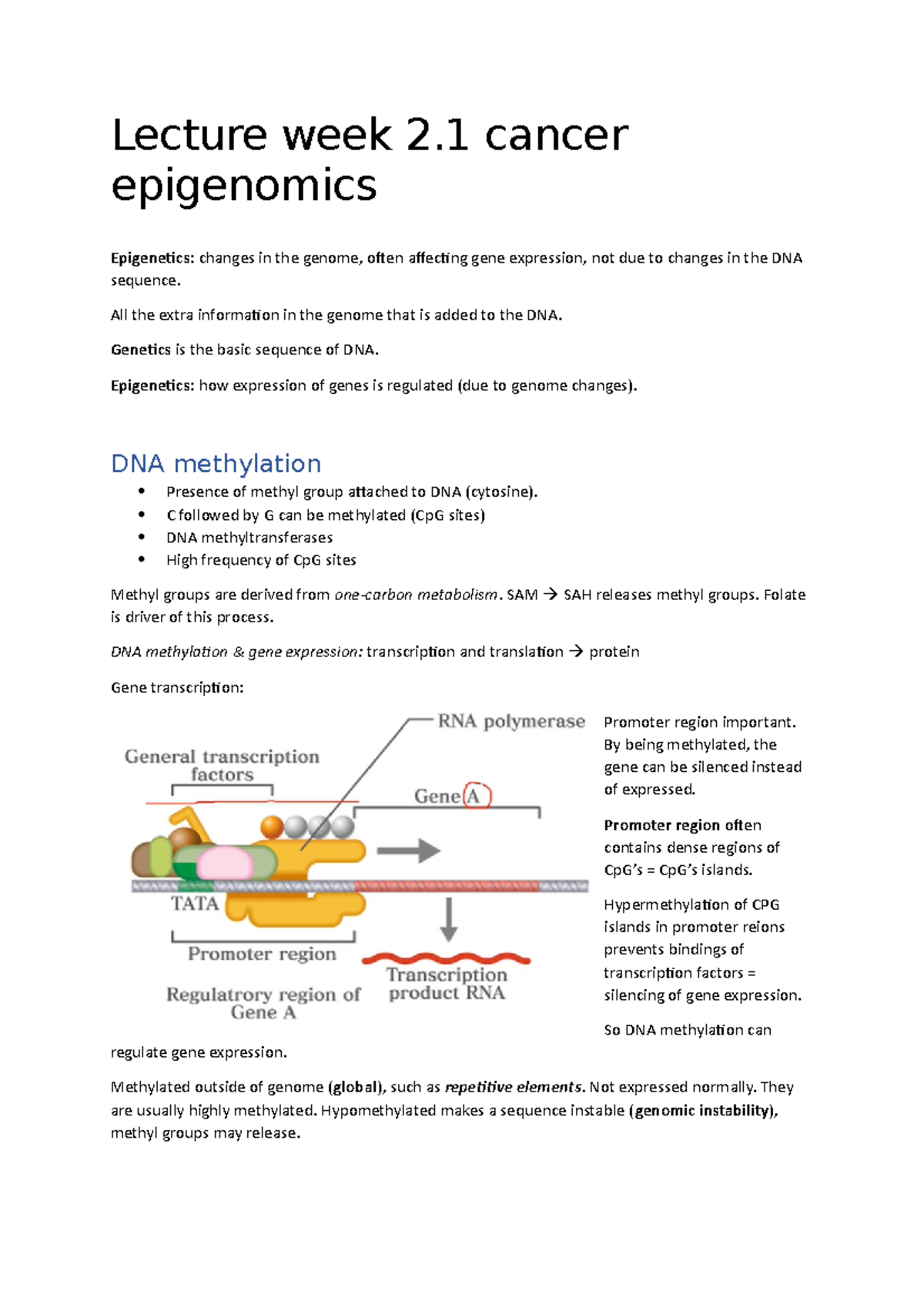 Lecture week 2 epigenomics - Lecture week 2 cancer epigenomics ...