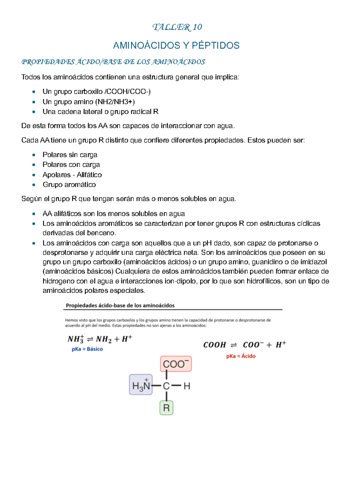 Resumen Taller 10 IBCM - TALLER 10 AMINOÁCIDOS Y PÉPTIDOS PROPIEDADES ...