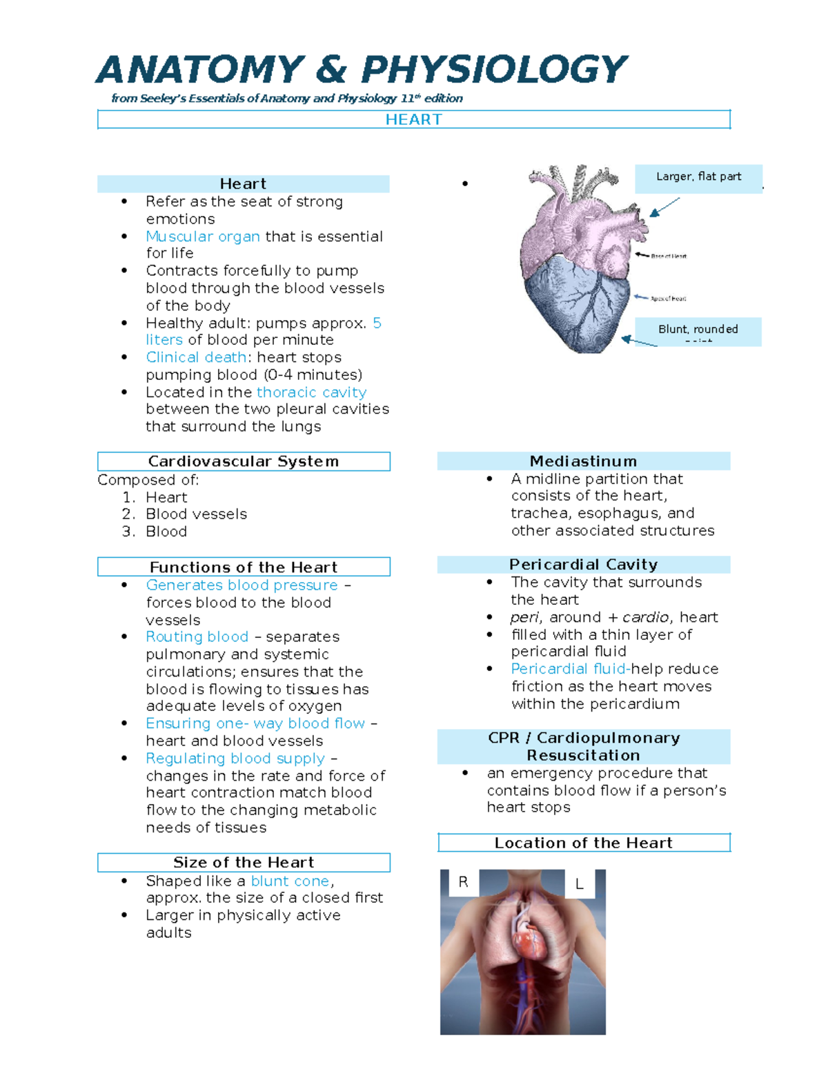 Heart Transes - ANATOMY & PHYSIOLOGY from Seeley’s Essentials of ...