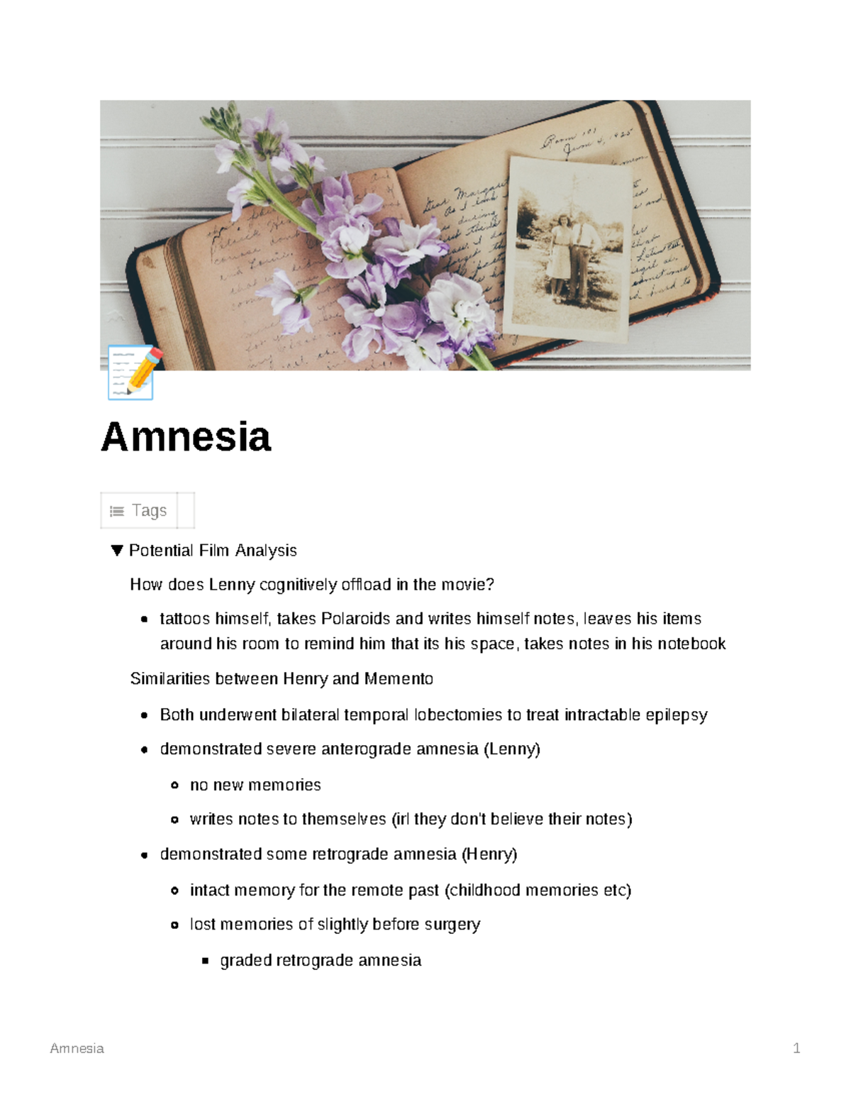 Amnesia - Ë Amnesia Tags Potential Film Analysis How does Lenny ...