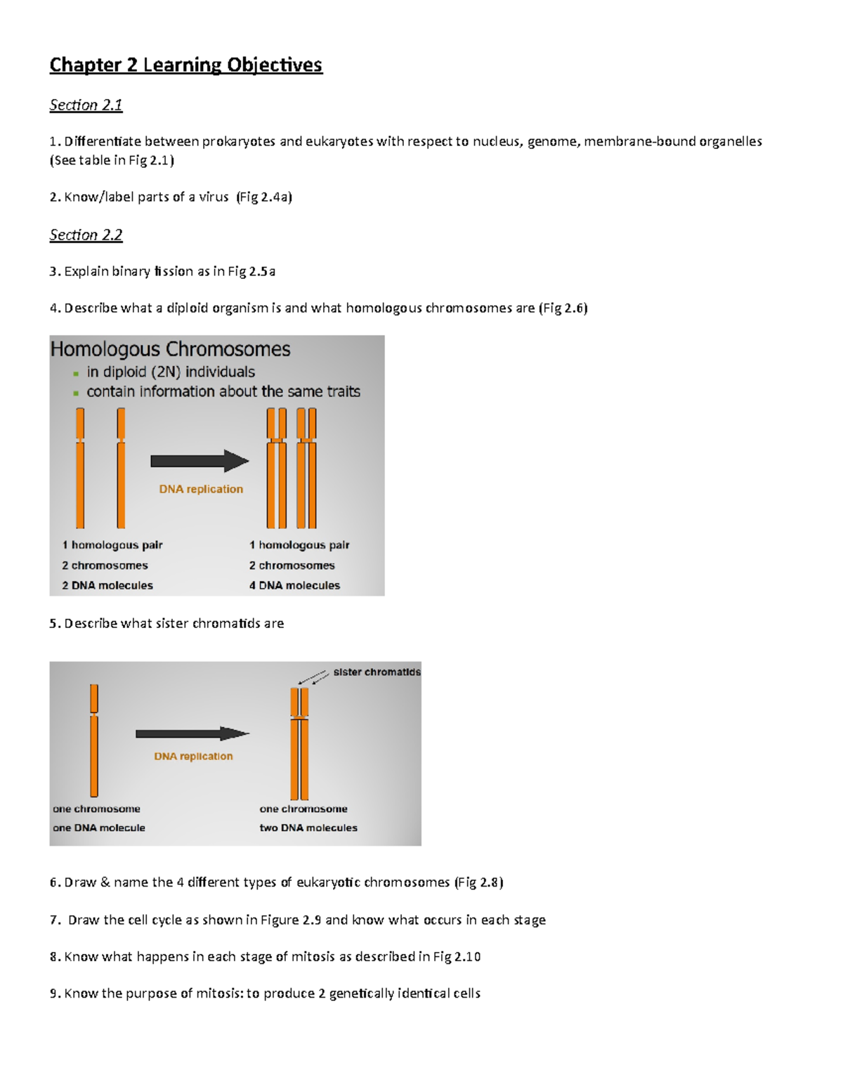 Chapter 2 lecture notes - BIO 2306 - Baylor University - Studocu