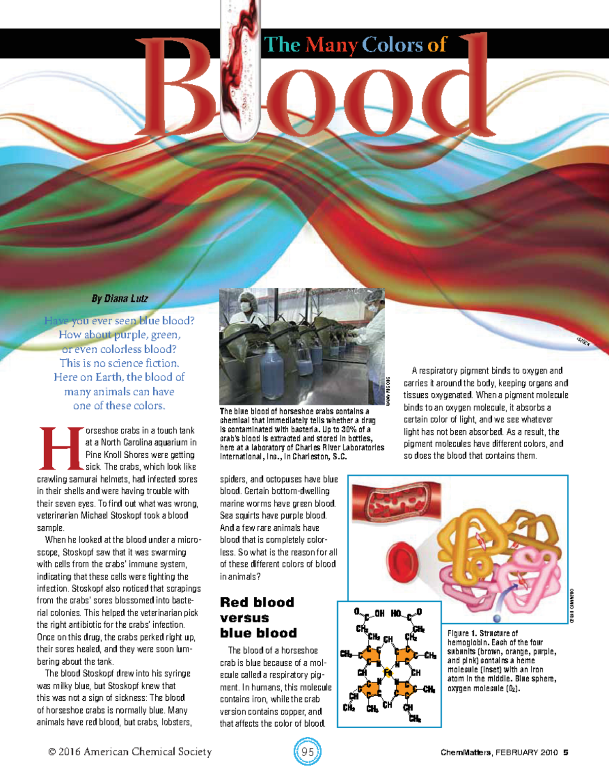 Sample lesson plan the many colors of blood - Have you ever seen blue ...