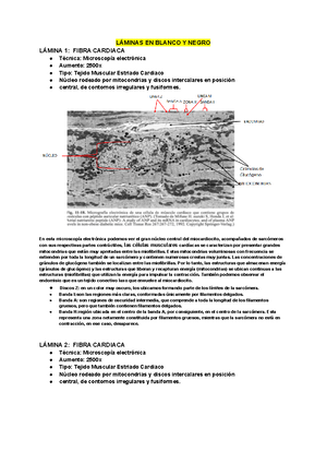 GUIA Practica 02 - GUIA PRÁCTICA DE HISTOLOGÍA. UPAO - UNIVERSIDAD PRIVADA ANTENOR ORREGO ...