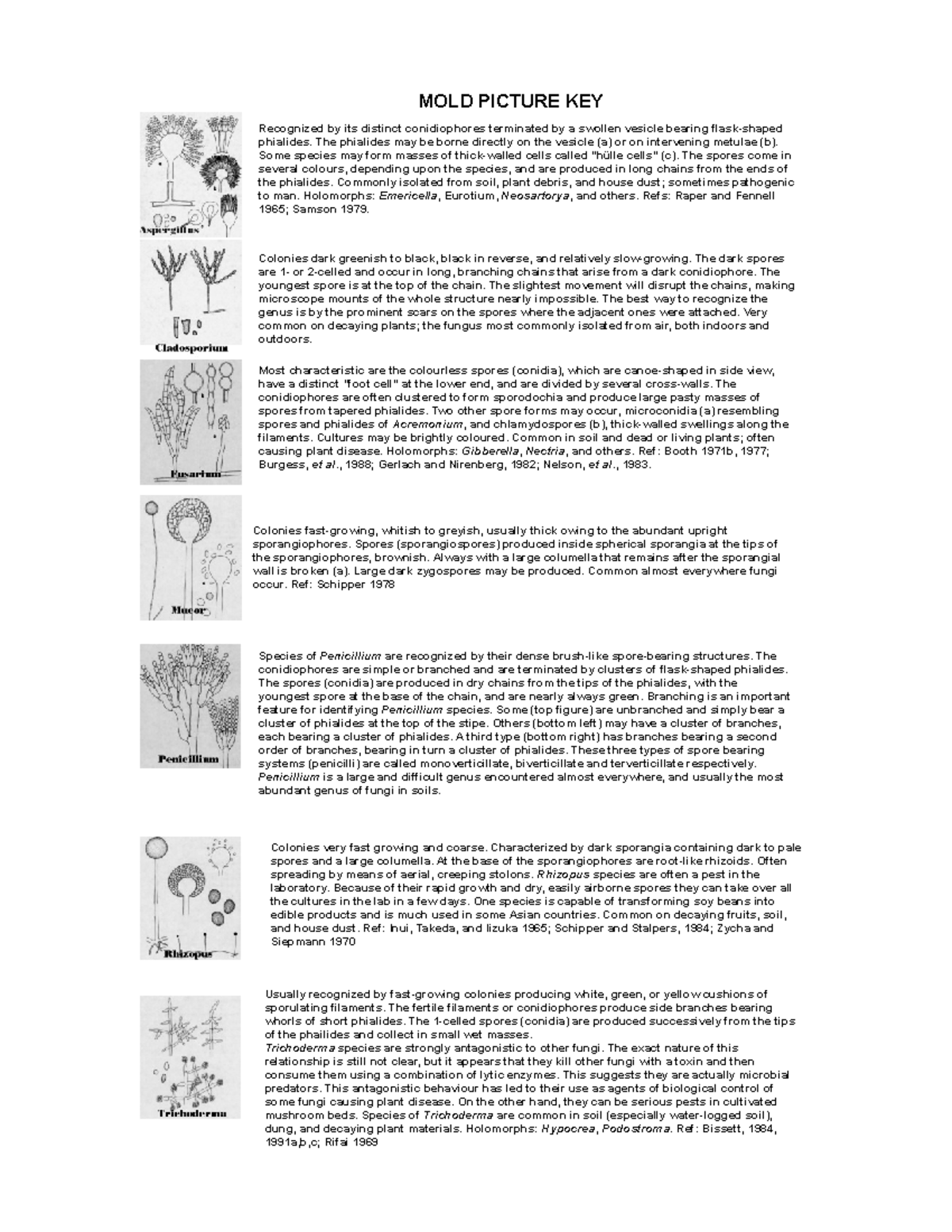 Mold-Picture-Key - Morphological characteristics of mold species ...