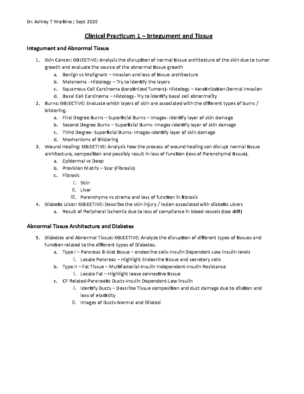 Clinical Practicum 1 Martino Tissue skin Objectives - Dr. Ashley T ...