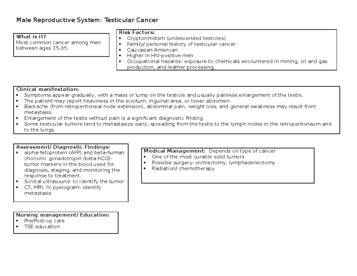 Concept Map Testicular Cancer - Male Reproductive System: Testicular ...