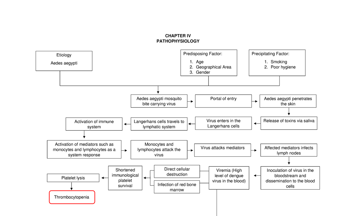 Chapter IV - chap 4 patho - CHAPTER IV PATHOPHYSIOLOGY Etiology Aedes ...