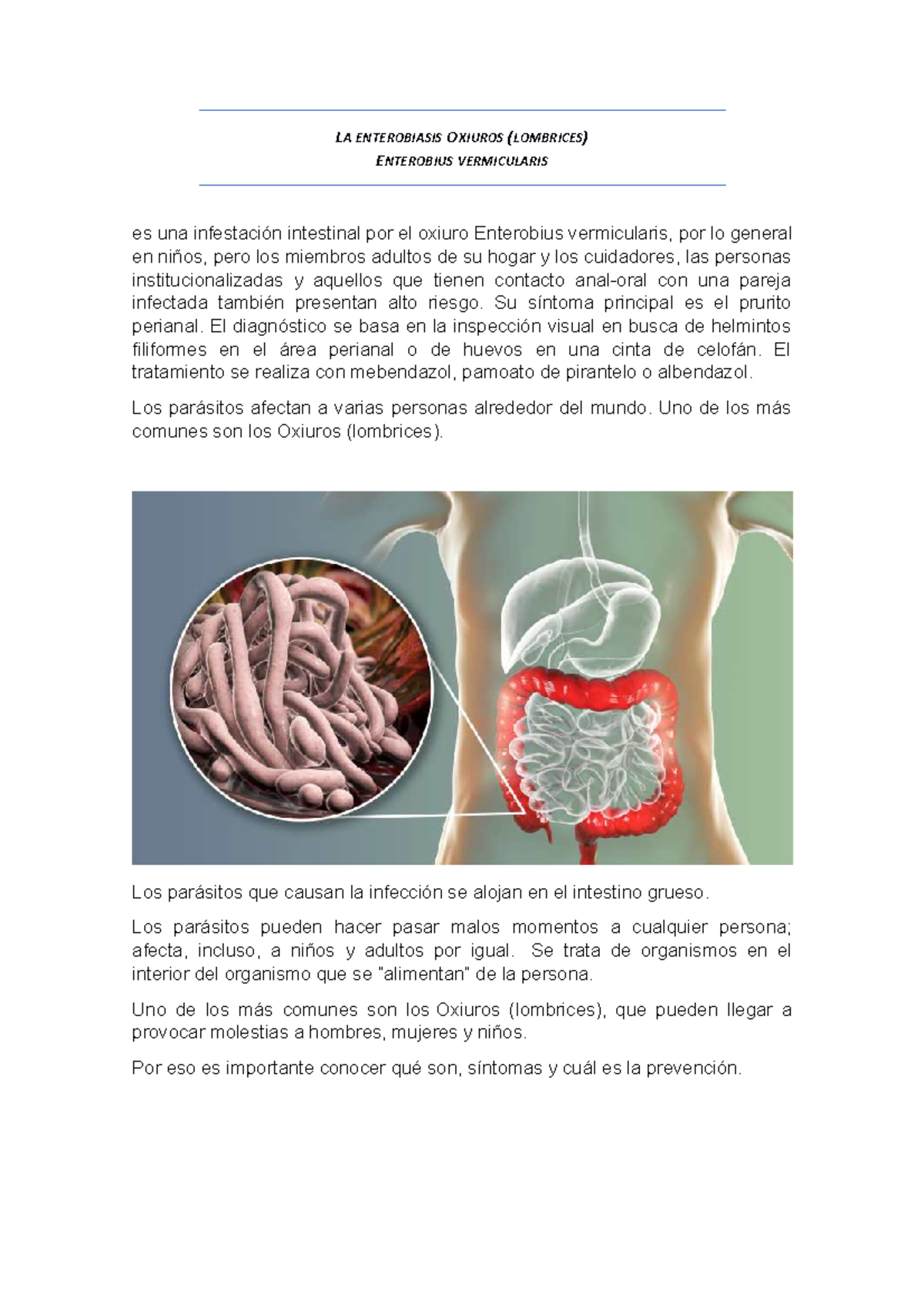 La enterobiasis Oxiuros - LA ENTEROBIASIS OXIUROS (LOMBRICES ...
