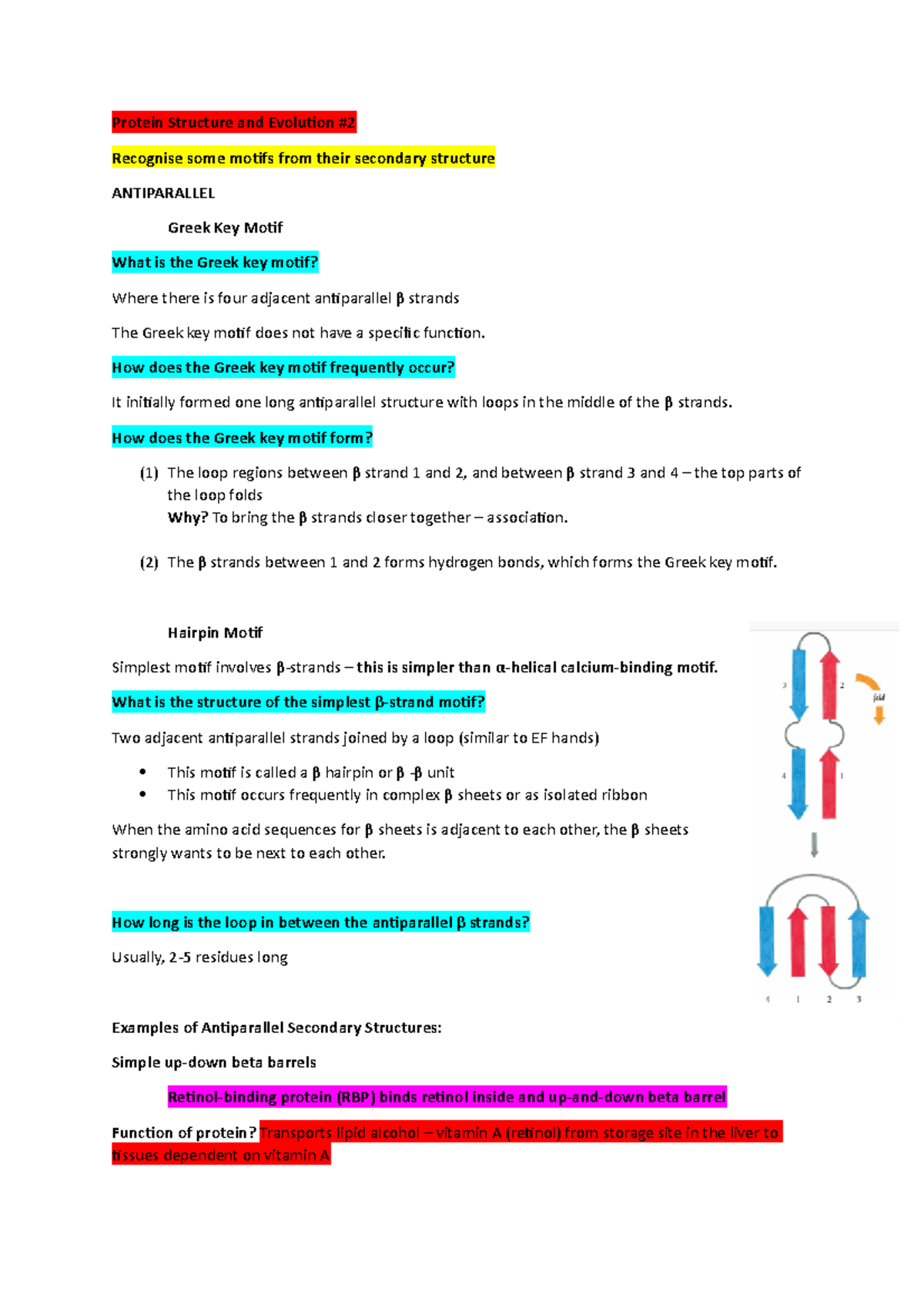 Protein Structure and Evolution: Greek Key Hairpin Antiparallel ...