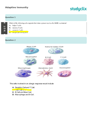 VCE Scientific Posters Guide - A ridiculously detailed guide on ...