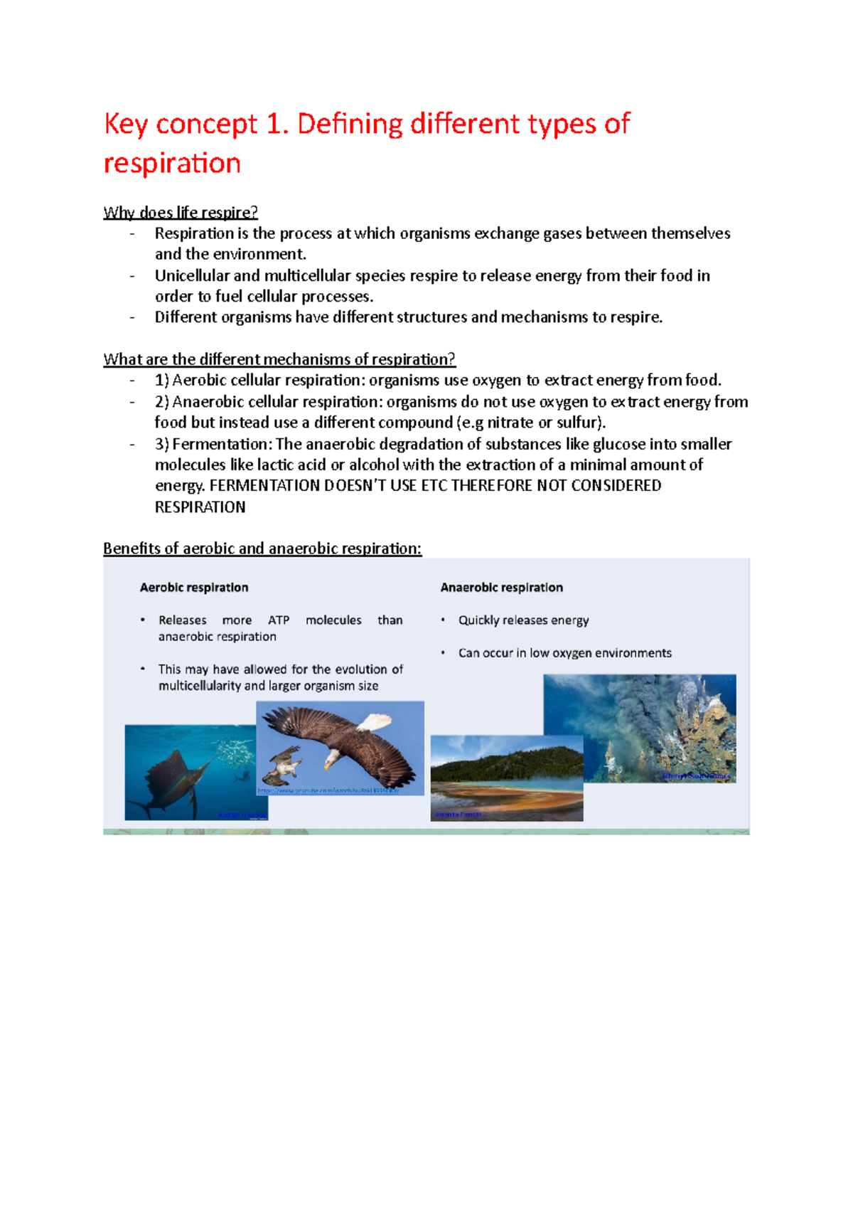 Respiration - Notes week 1 - Key concept 1. Defining different types of ...