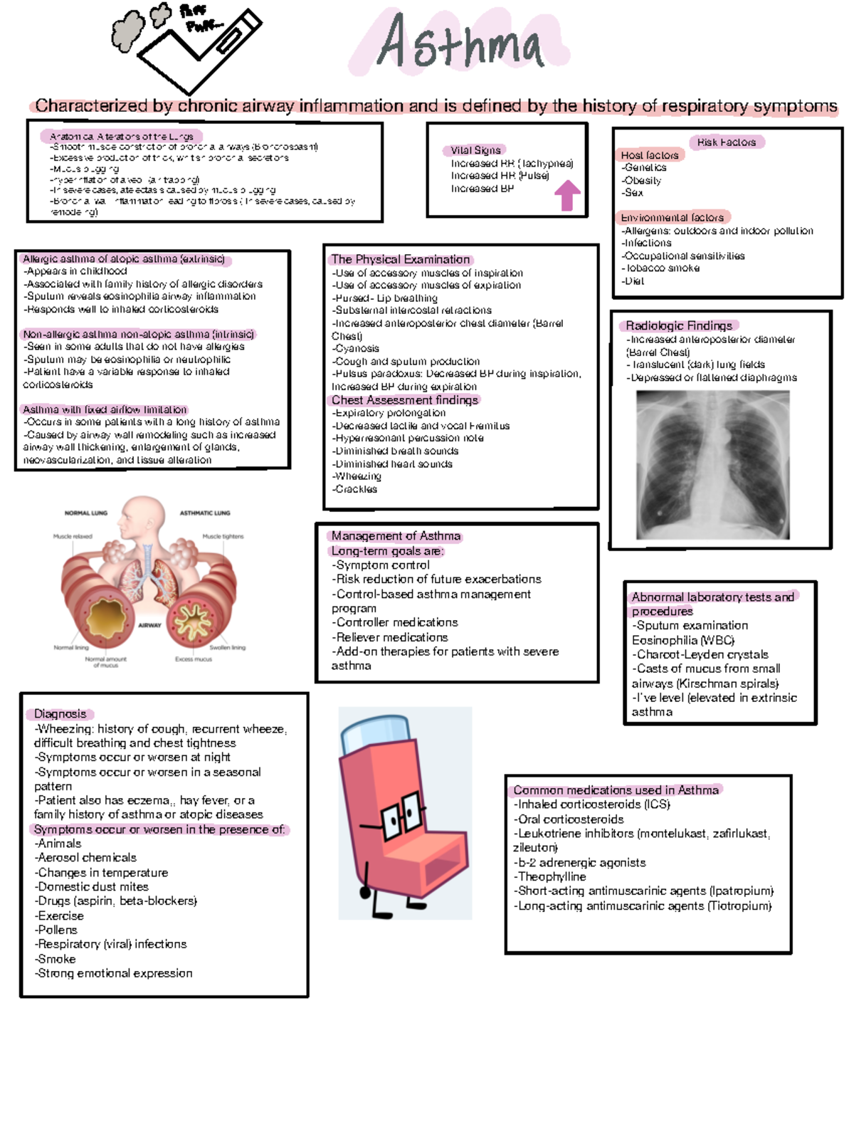 Asthma 1 - n/a - Anatomical Alterations of the Lungs -Smooth muscle ...