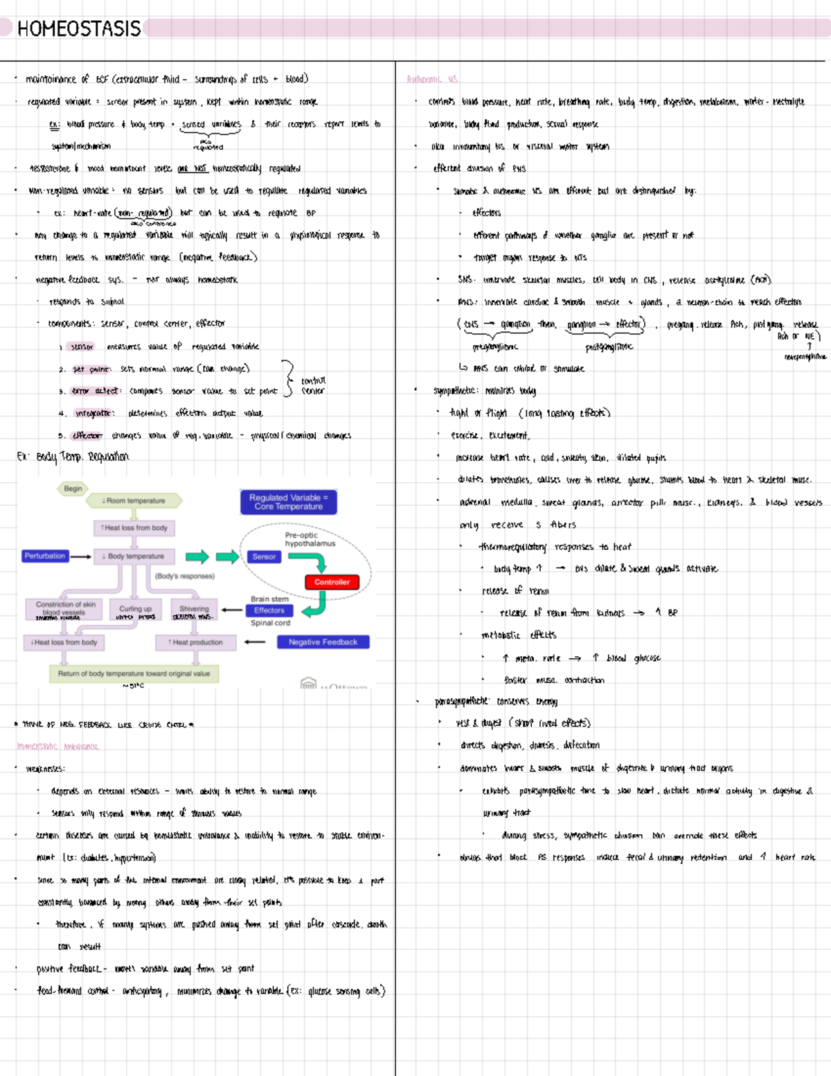 Study Notes - Anatomy - Homeostasis, blood, endocrine - HOMEOSTASIS I ...