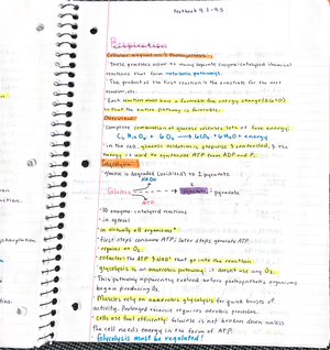 Regulation of Gene Expression - 213 - Studocu