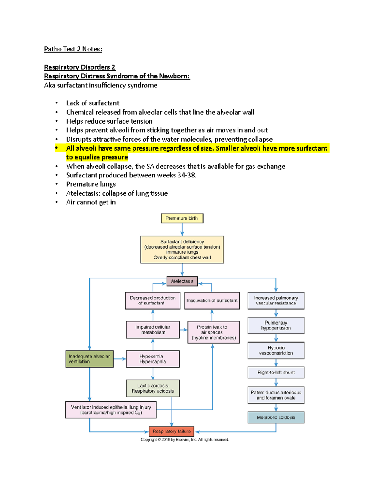 Patho II Test 2 Notes - Patho Test 2 Notes: Respiratory Disorders 2 ...