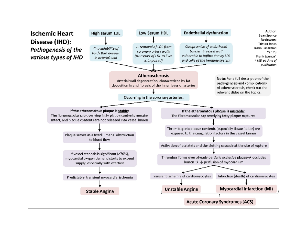 NSG 2 Heart Disease Concept Map - NUR 1119 - Studocu